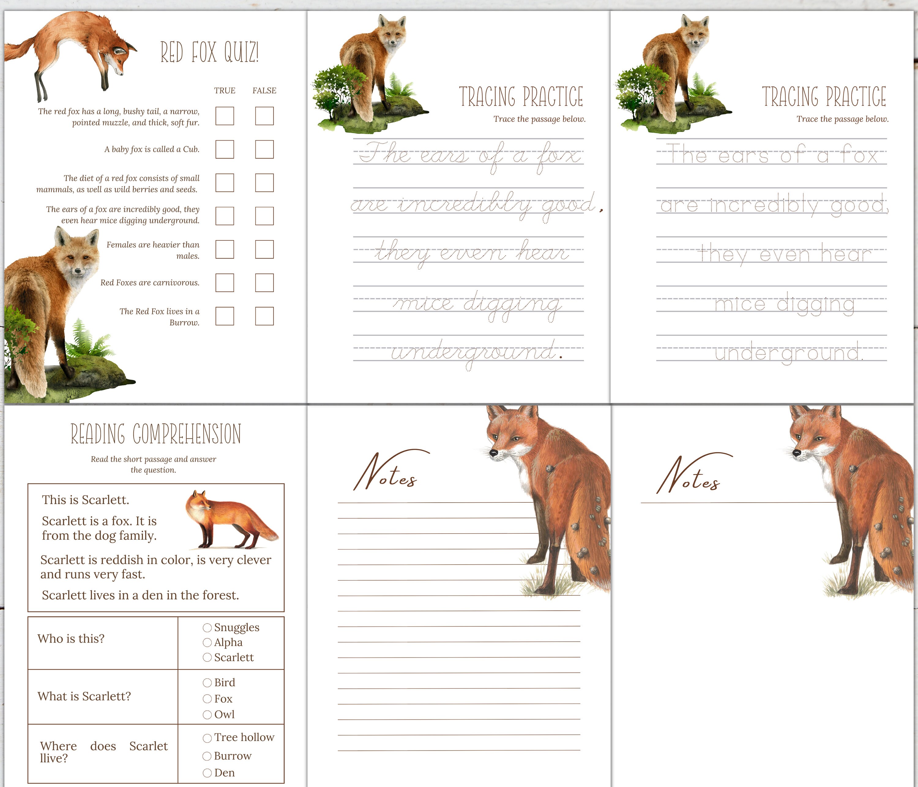 Red Fox Unit Study: Life Cycle, Anatomy, Homeschool Printable (instant ...