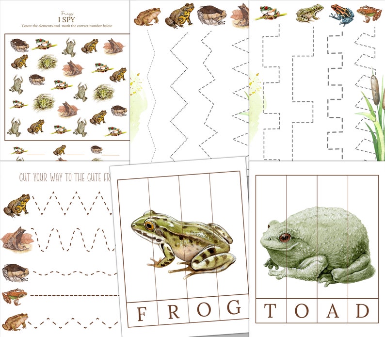 FROG Unit Study, Life Cycle, Anatomy, Nature Study, Science ...