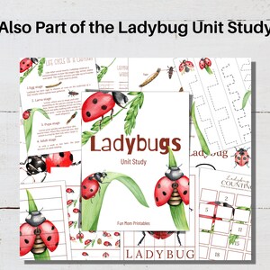 LADYBUG Anatomy, Posters + Labeling and Tracing Activities, Grasshopper ...
