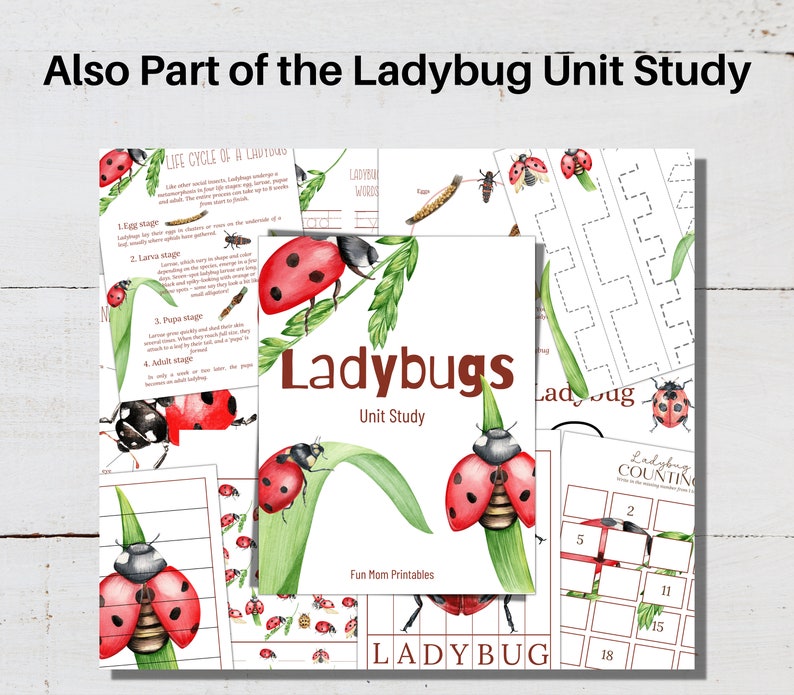 LADYBUG Anatomy Posters Labeling and Tracing Activities - Etsy