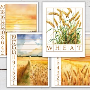 Wheat Unit Study: Life Cycle, Anatomy, Homeschool Printable (instant ...