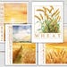 Wheat Unit Study: Life Cycle, Anatomy, Homeschool Printable (instant ...
