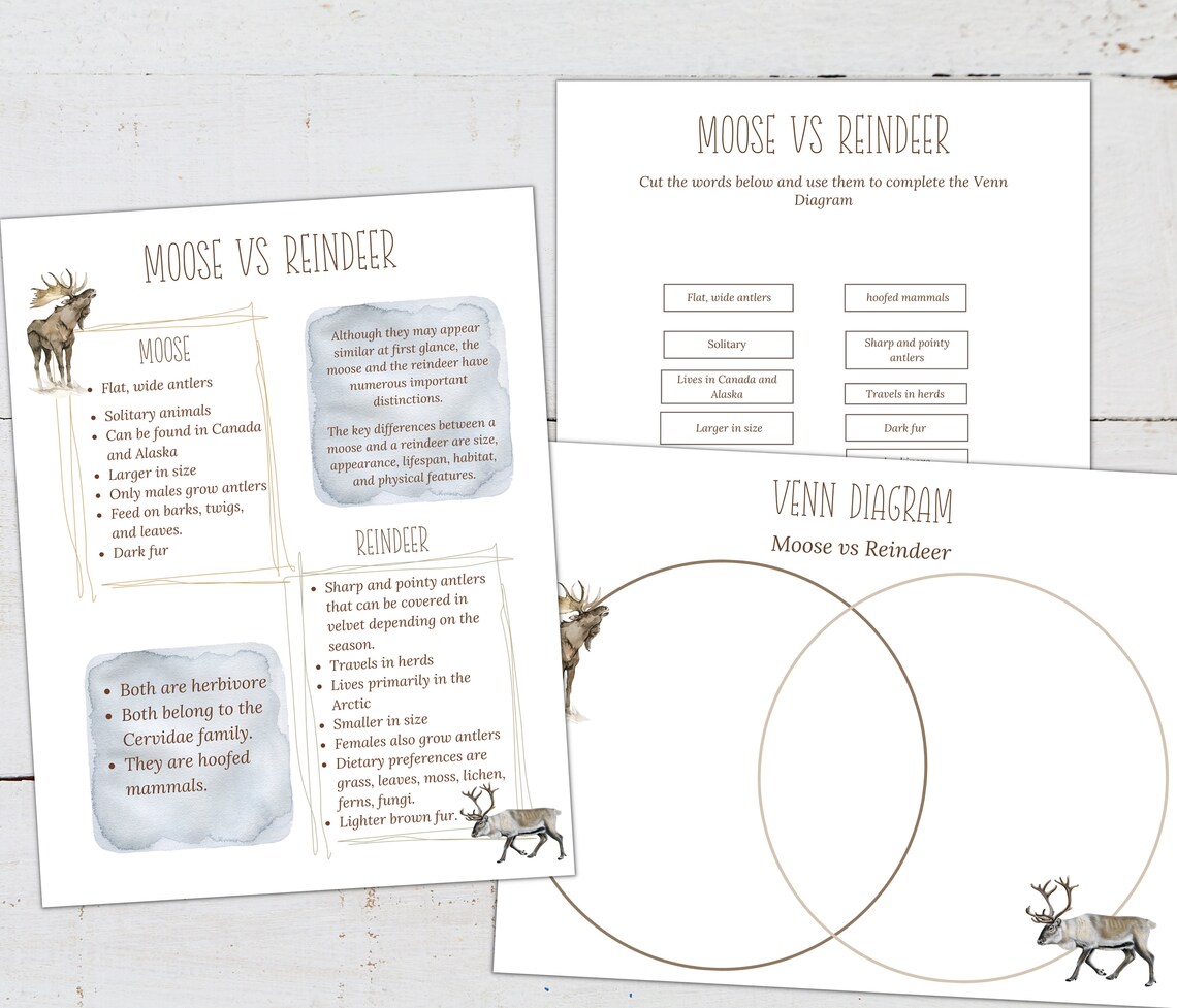 Moose Unit Study: Homeschool Science, Anatomy & Life Cycle (printable ...