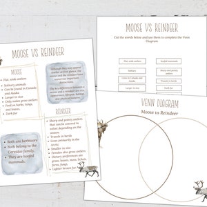 MOOSE Unit Study, Life Cycle, Anatomy, Nature Study, Science ...