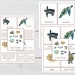 Sea Turtle Unit Study Life Cycle Anatomy Nature Study - Etsy