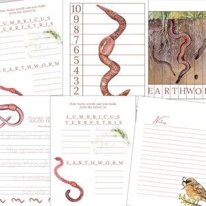EARTHWORM Study Unit, Life Cycle, Anatomy, Nature Study, Science ...