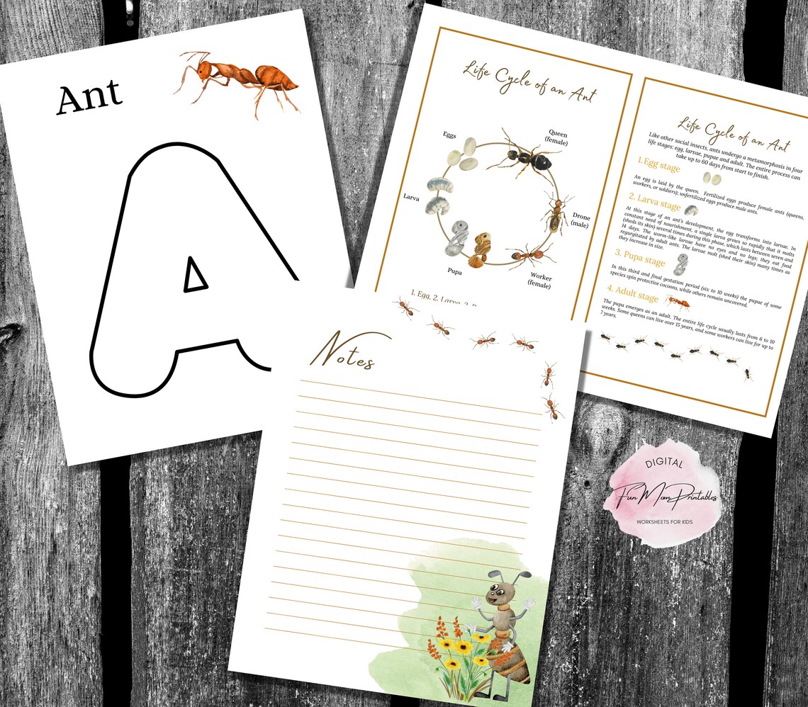 ANT Colony Unit Study Life Cycle Anatomy Nature Study - Etsy UK