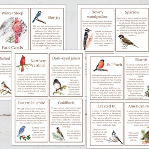 WINTER BIRDS Fact Cards, 3 Part Cards and Mini Poster, Nature, Digital ...