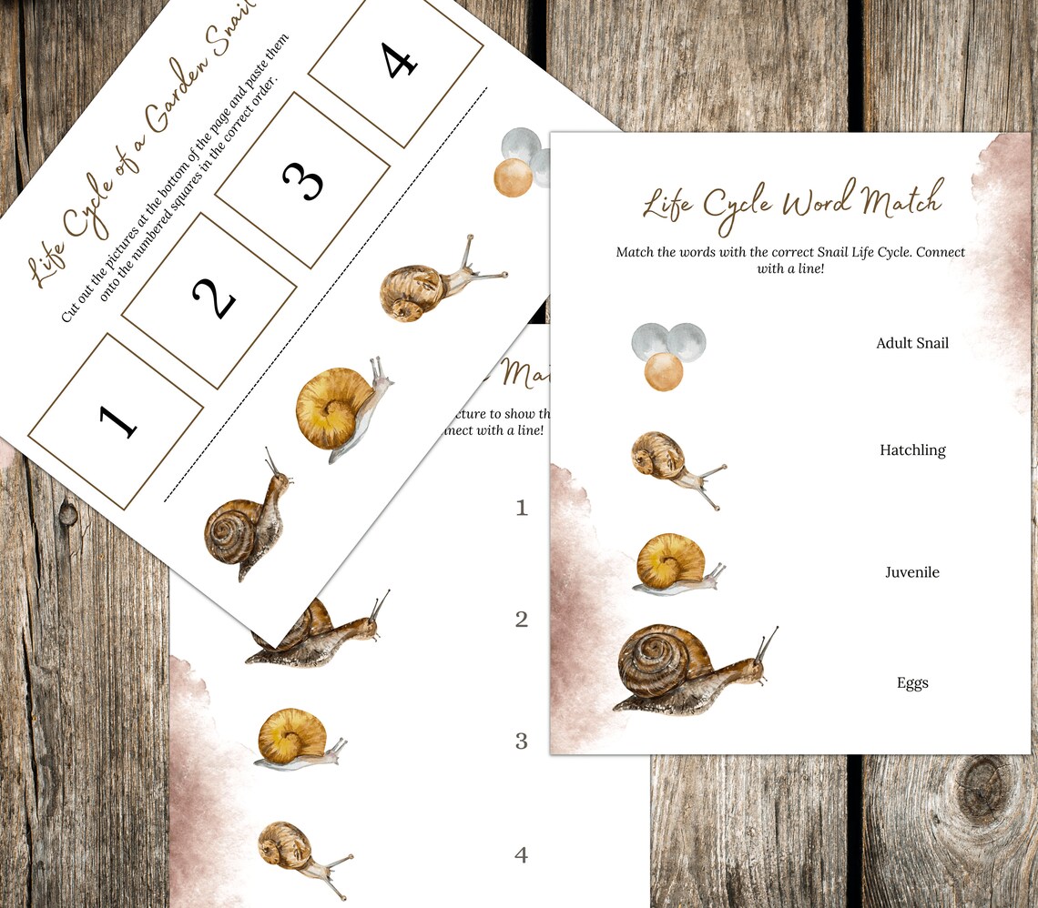 SNAIL Unit Study Life Cycle Anatomy Nature Study Science - Etsy