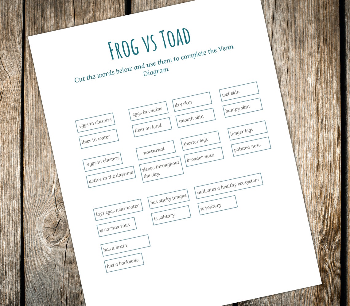 FROG Vs TOAD Venn Diagram Activity Homeschool Montessori - Etsy