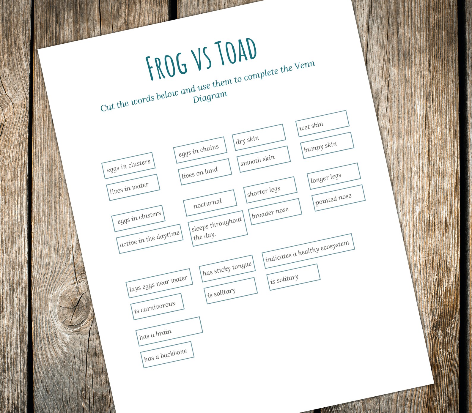 FROG Vs TOAD Venn Diagram Activity Homeschool Montessori - Etsy