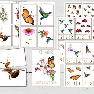 POLLINATORS Unit Study, Nature Study, Science, Handwriting, Homeschool ...