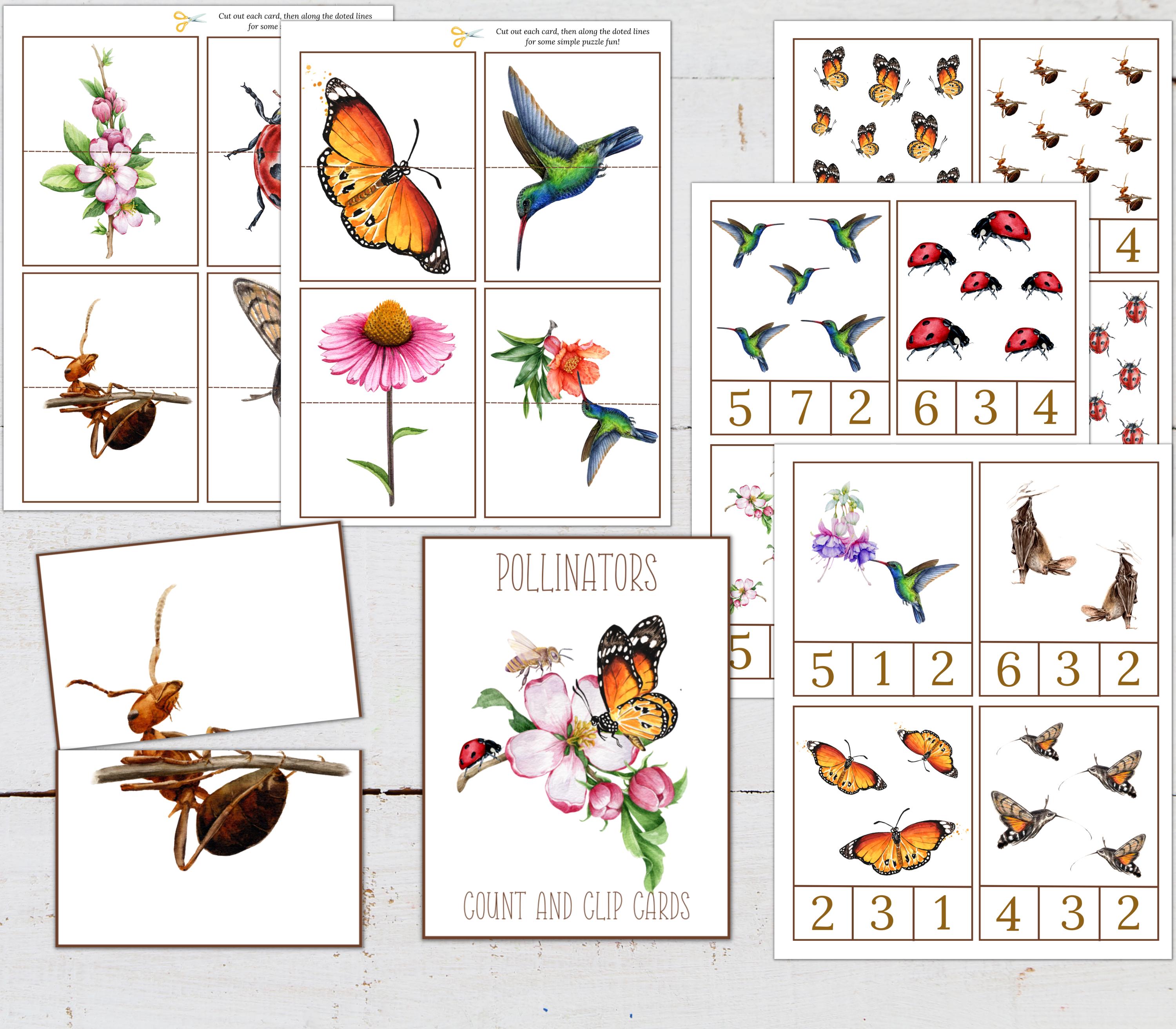 POLLINATORS Unit Study, Nature Study, Science, Handwriting, Homeschool ...