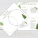 DECIDUOUS Vs EVERGREEN Trees Venn Diagram Activity, Homeschool ...