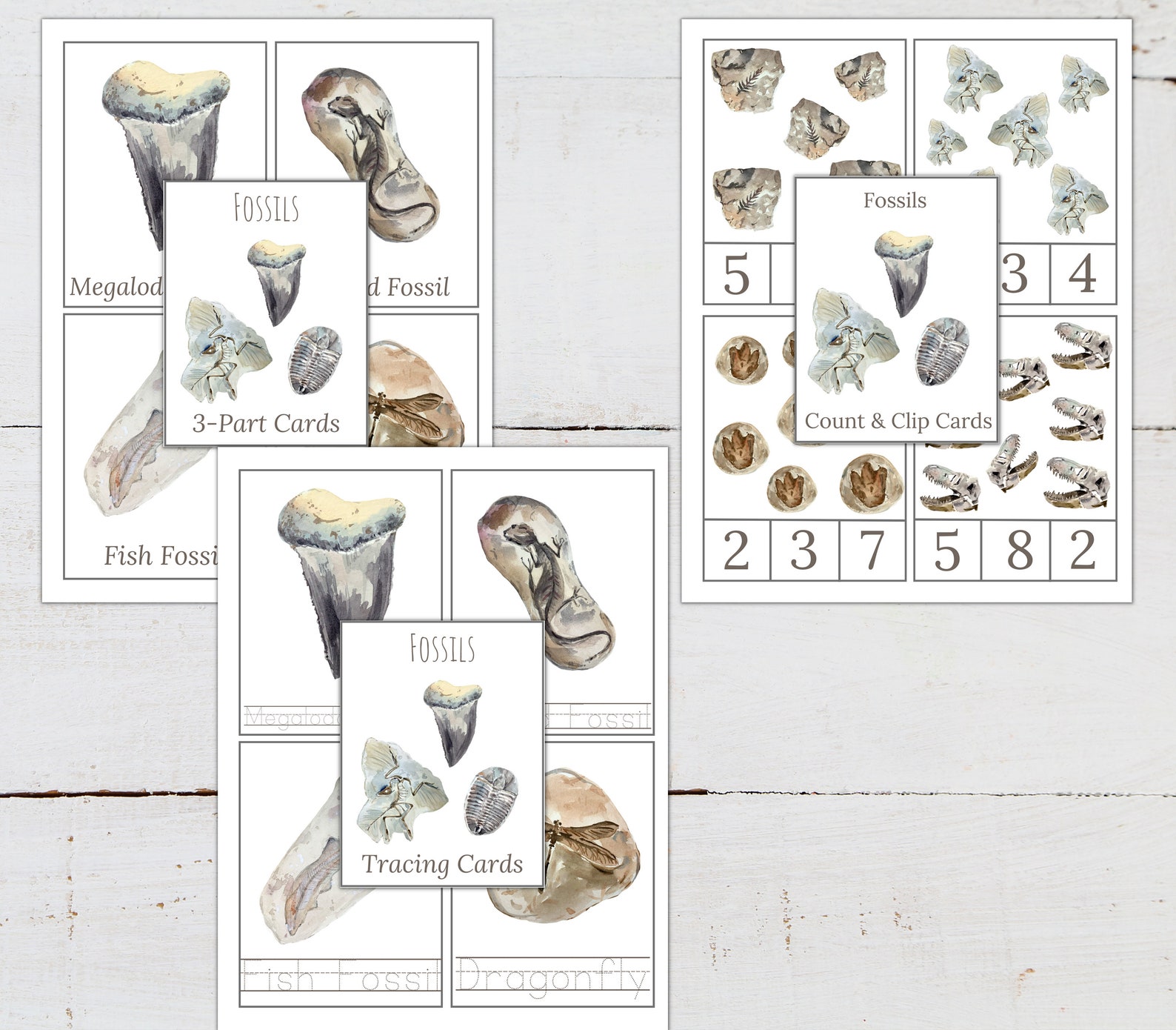 FOSSILS Unit Study, Anatomy, Nature Study, Science, Handwriting ...
