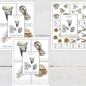 FOSSILS Unit Study, Anatomy, Nature Study, Science, Handwriting ...