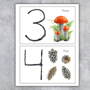 NATURE Counting Flashcards, 1 to 10 Counting, Toddler Preschool ...