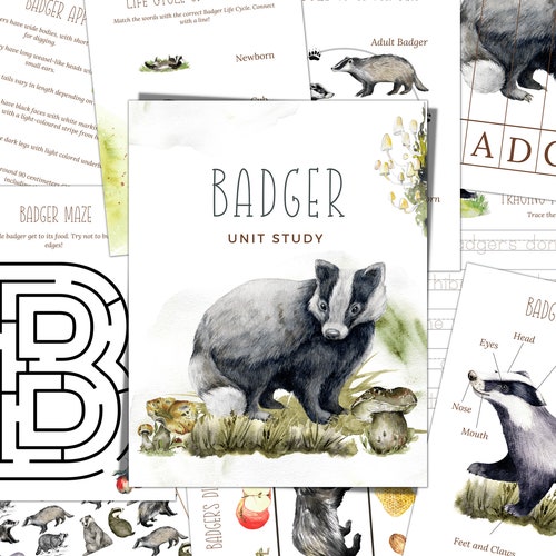 RED FOX Unit Study Life Cycle Anatomy Nature Study - Etsy Australia