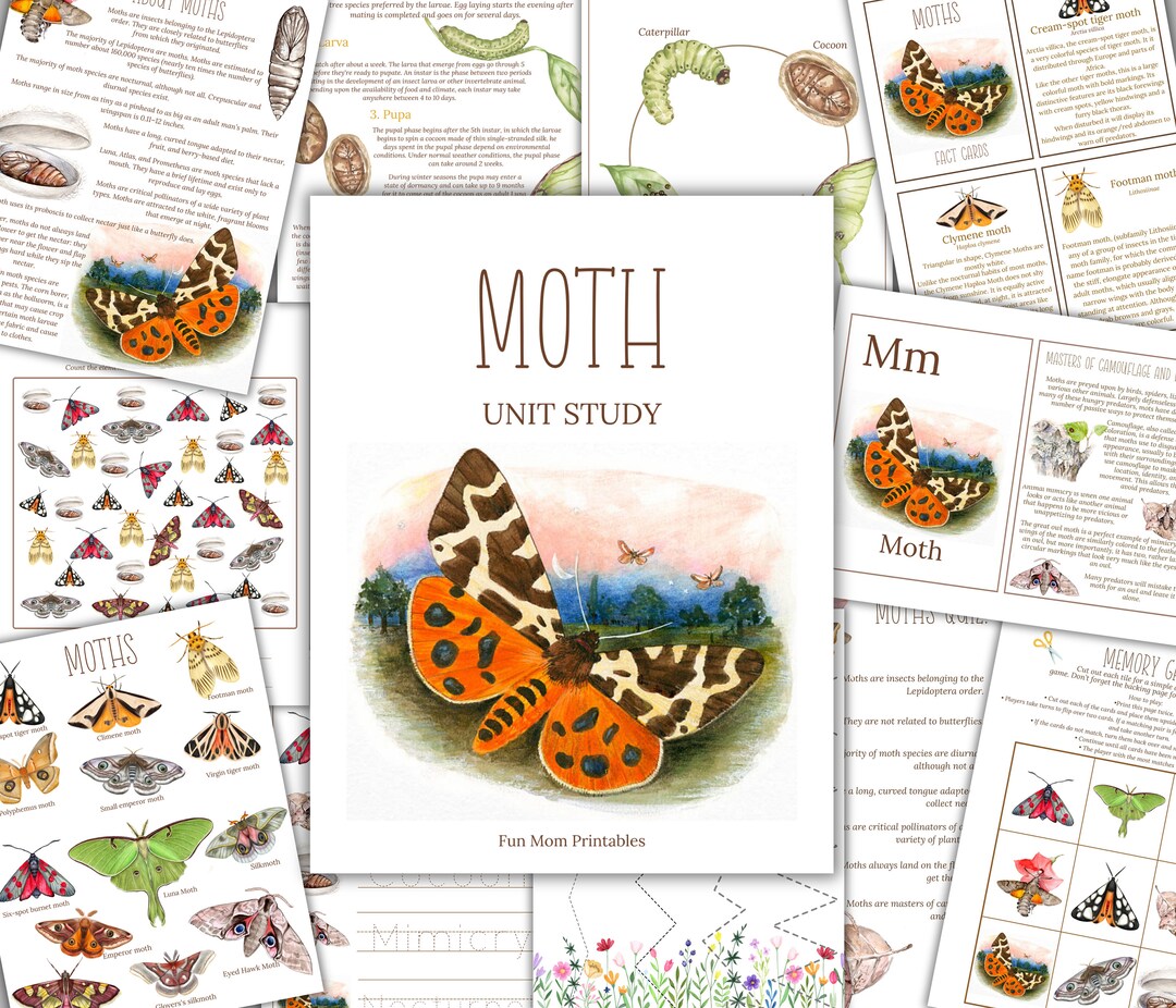 Moths Unit Study: Life Cycle, Anatomy, Homeschool Printable (instant ...