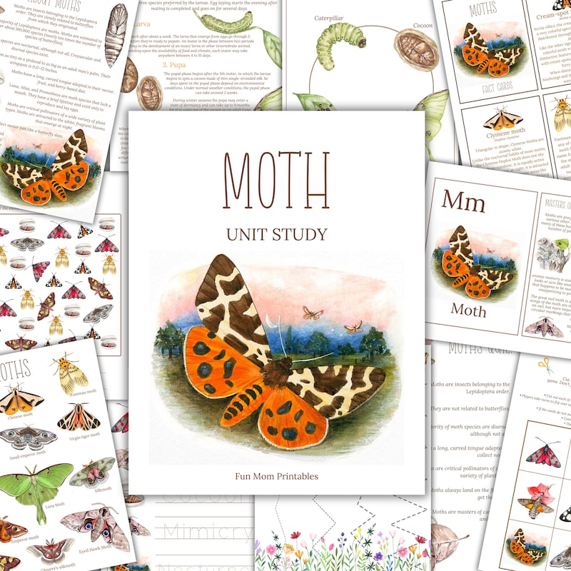 Moths Species Poster - Etsy UK