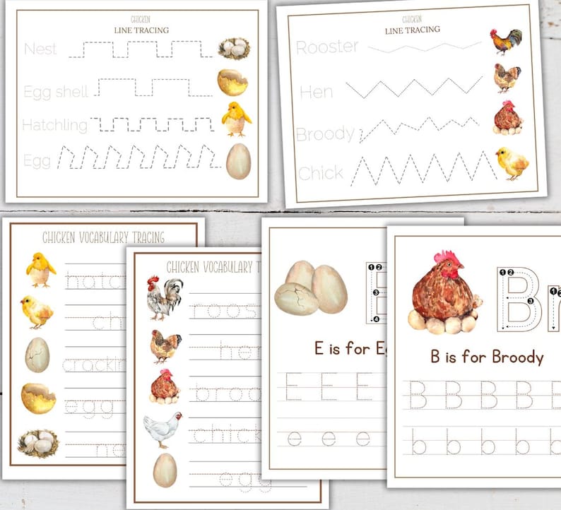Chicken Unit Study , Life Cycle, Anatomy, DIGITAL DOWNLOAD - Etsy