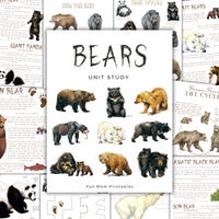 Bear Unit Study - Etsy