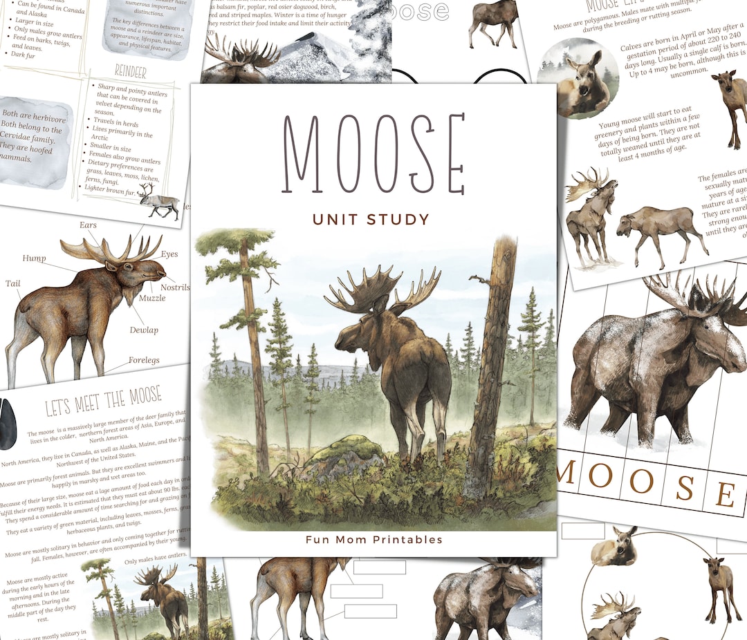 MOOSE Unit Study, Life Cycle, Anatomy, Nature Study, Science ...