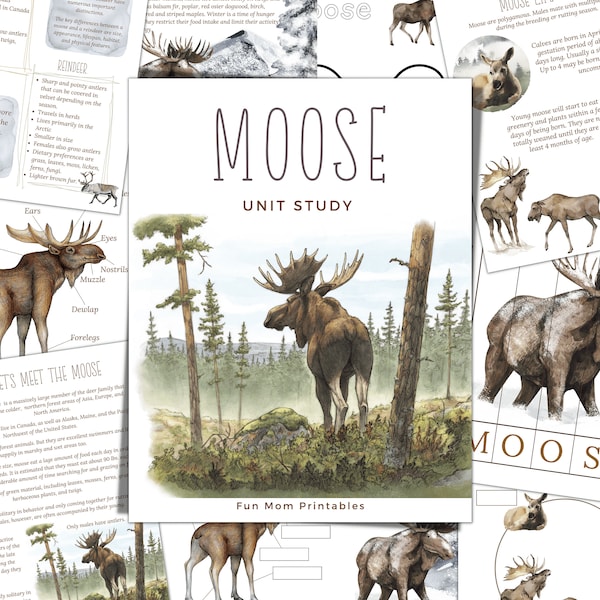 FunMomPrintables - Etsy