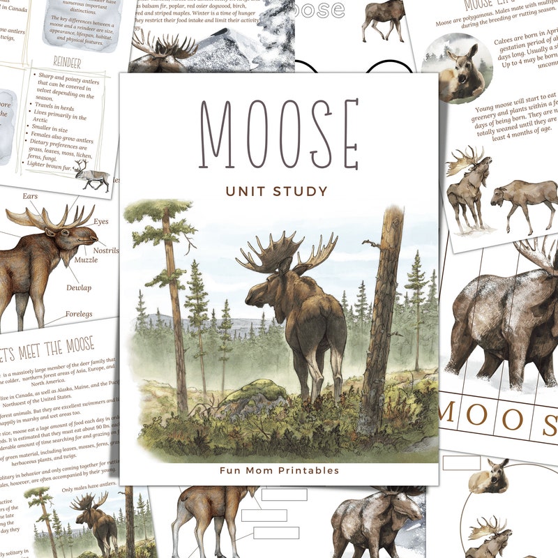 FunMomPrintables - Etsy