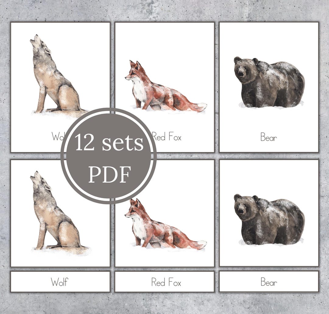WINTER FOREST Animals Montessori 3 Part Cards. Preschool Vocabulary ...