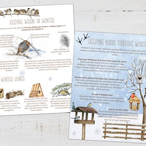 WINTER BIRDS Unit Study, Nature Study, Science, Handwriting, Homeschool ...