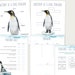 PENGUINS Unit Study, Life Cycle, Anatomy, Nature Study, Science ...