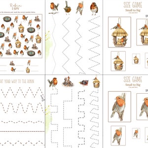 EUROPEAN ROBIN Unit Study, Life Cycle, Anatomy, Nature Study, Science ...