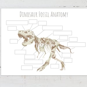 DINOSAUR Anatomy, Poster and Labeling Activity, Homeschool, Instant ...