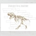 DINOSAUR Anatomy, Poster and Labeling Activity, Homeschool, Instant ...