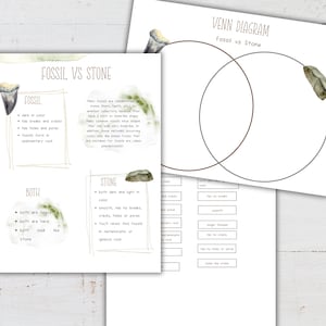 FOSSILS Unit Study, Anatomy, Nature Study, Science, Handwriting ...