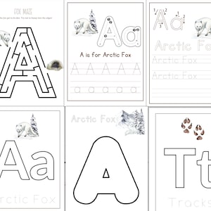 ARCTIC FOX Unit Study, Life Cycle, Anatomy, Nature Study, Science ...