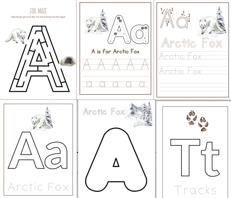 Arctic Fox Unit Study: Homeschool Science Printable (instant Download ...