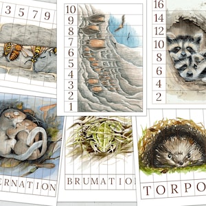 WINTER SLEEP Unit Study, Hibernation, Nature Study, Science ...