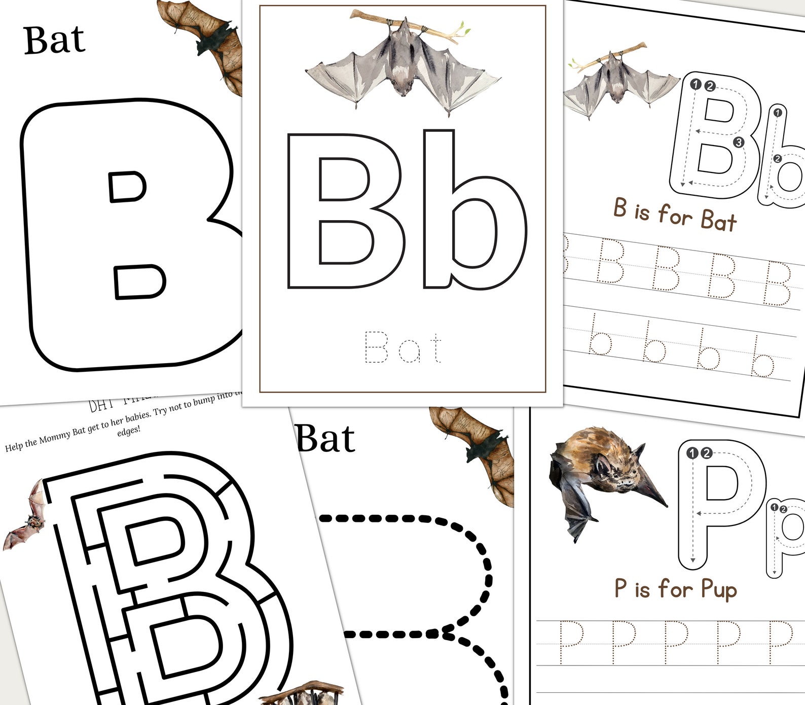 BATS Unit Study Life Cycle Anatomy Nature Study Science - Etsy