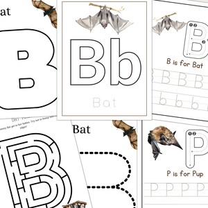 BATS Unit Study Life Cycle Anatomy Nature Study Science - Etsy