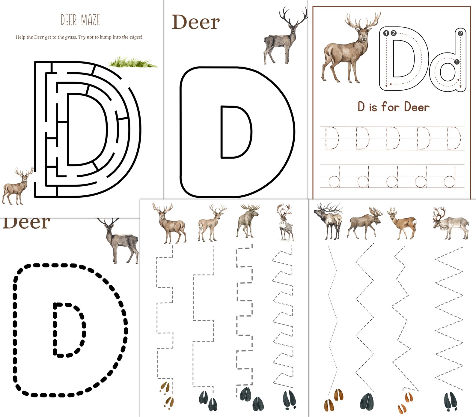 DEER Unit Study Life Cycle Anatomy Nature Study Science - Etsy