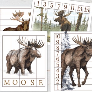 MOOSE Unit Study, Life Cycle, Anatomy, Nature Study, Science ...