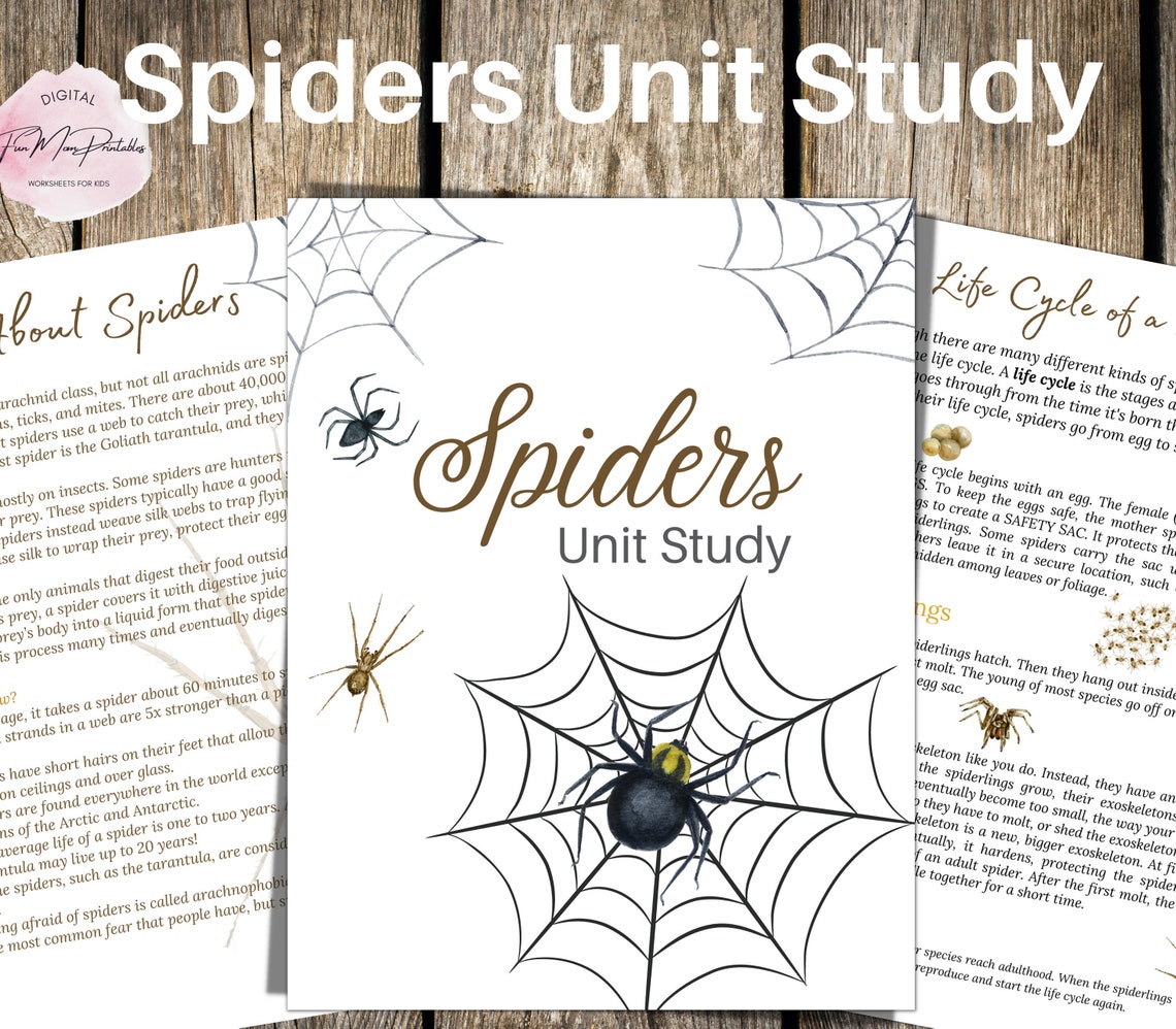 SPIDER Unit Study Life Cycle Anatomy Nature Study Science - Etsy UK