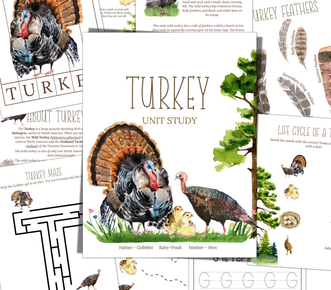 TURKEY Unit Study, Life Cycle, Anatomy, Montessori 3 Part Cards ...
