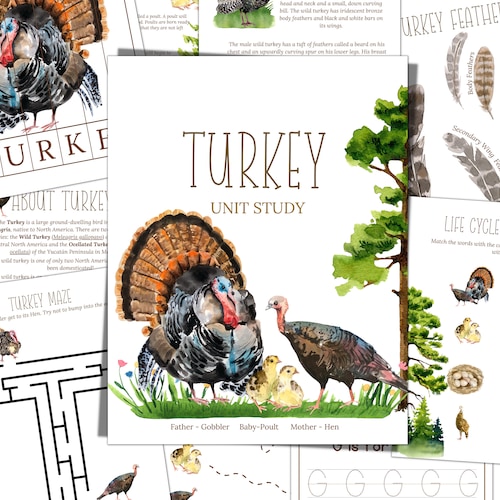 Turkey Mini Unit Study - Etsy