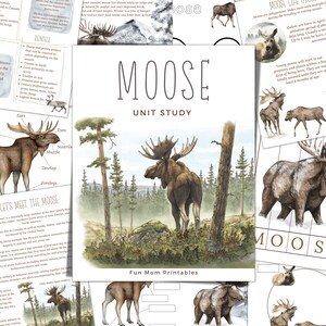 Deer, Moose, Reindeer Unit Studies Bundle (homeschool Printable) - Etsy
