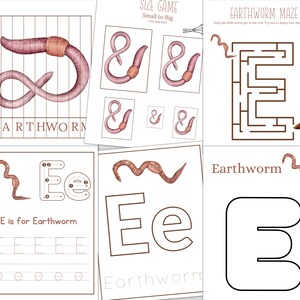 EARTHWORM Study Unit, Life Cycle, Anatomy, Nature Study, Science ...