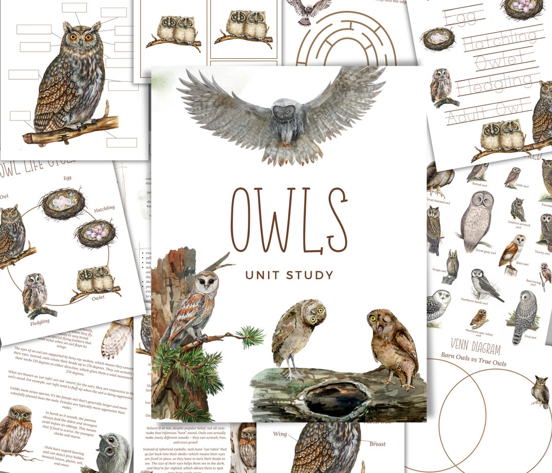 OWLS Unit Study, Life Cycle, Anatomy, Nature Study, Science ...
