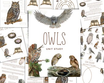 OWLS Unit Study, Life Cycle, Anatomy, Nature Study, Science, Homeschool ...